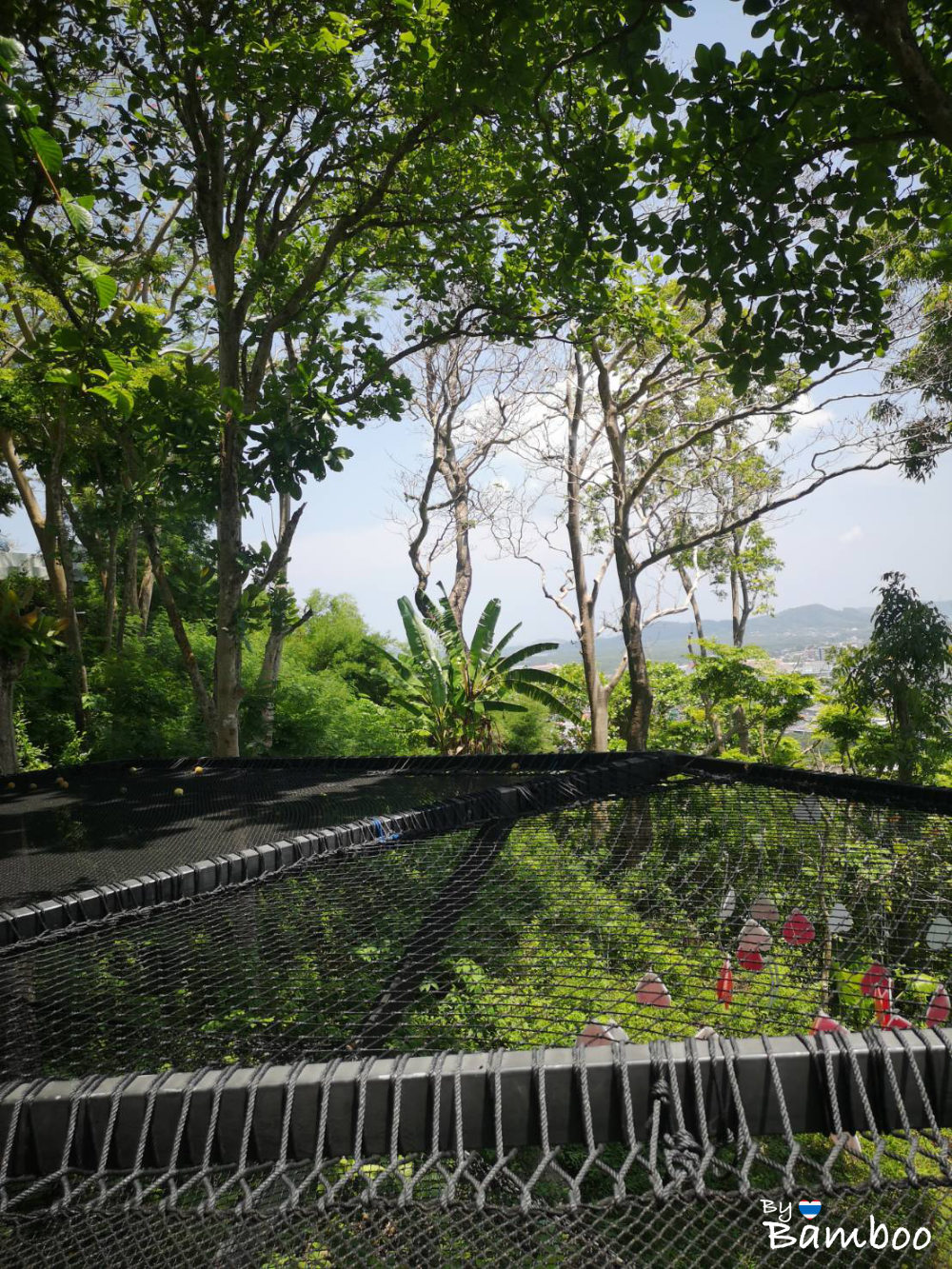 khao rang breeze - Phuket town - Thailand Travel Blog by Bamboo (2022)