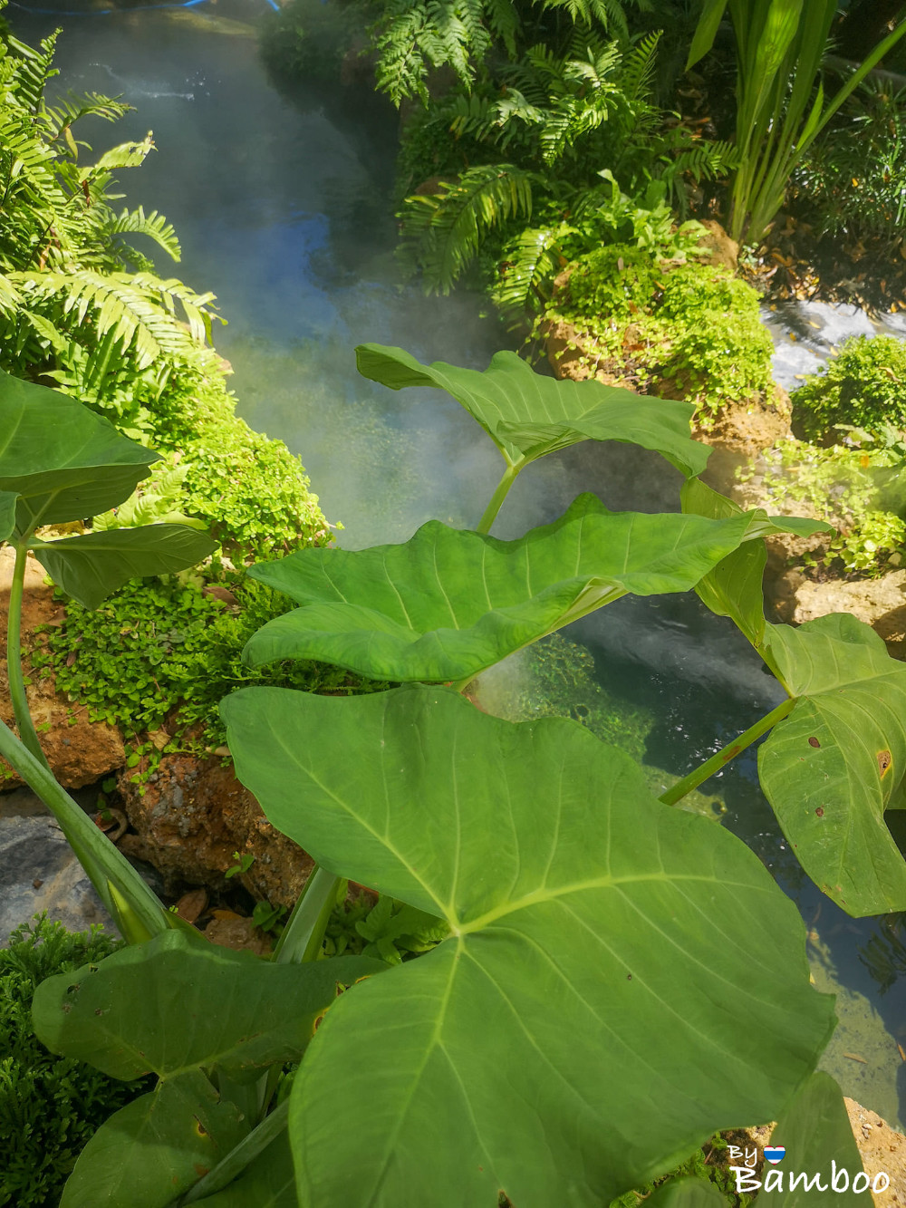 Raga Cafe (ระกา คอฟฟี่) Rawai - Thailand Travel Blog by Bamboo (2022)