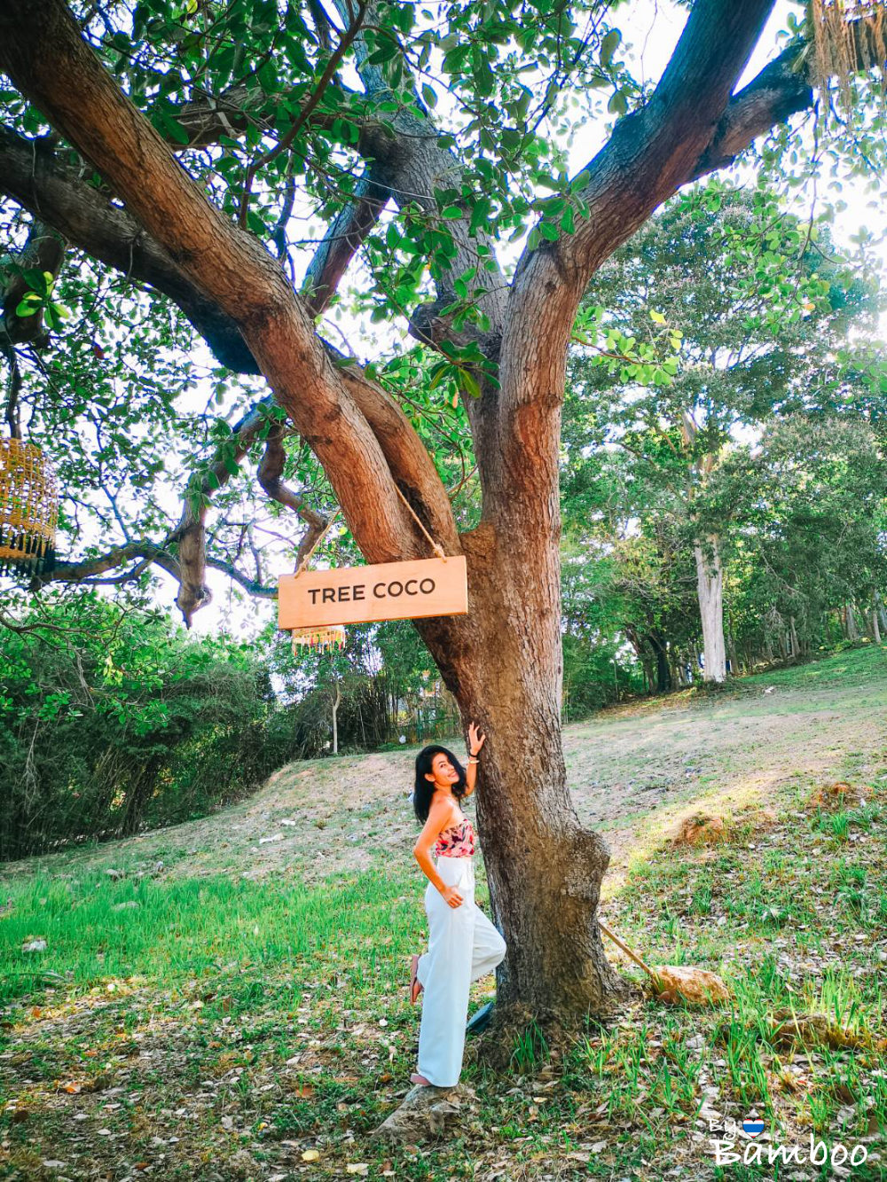 Tree Coco Rawai - Thailand Travel Blog by Bamboo (2022)