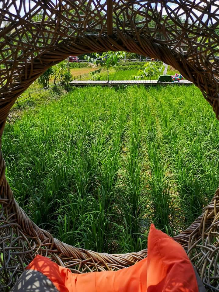 Cherna88 (เฌอนา) - Wichit - Thailand Travel Blog by Bamboo (2022)