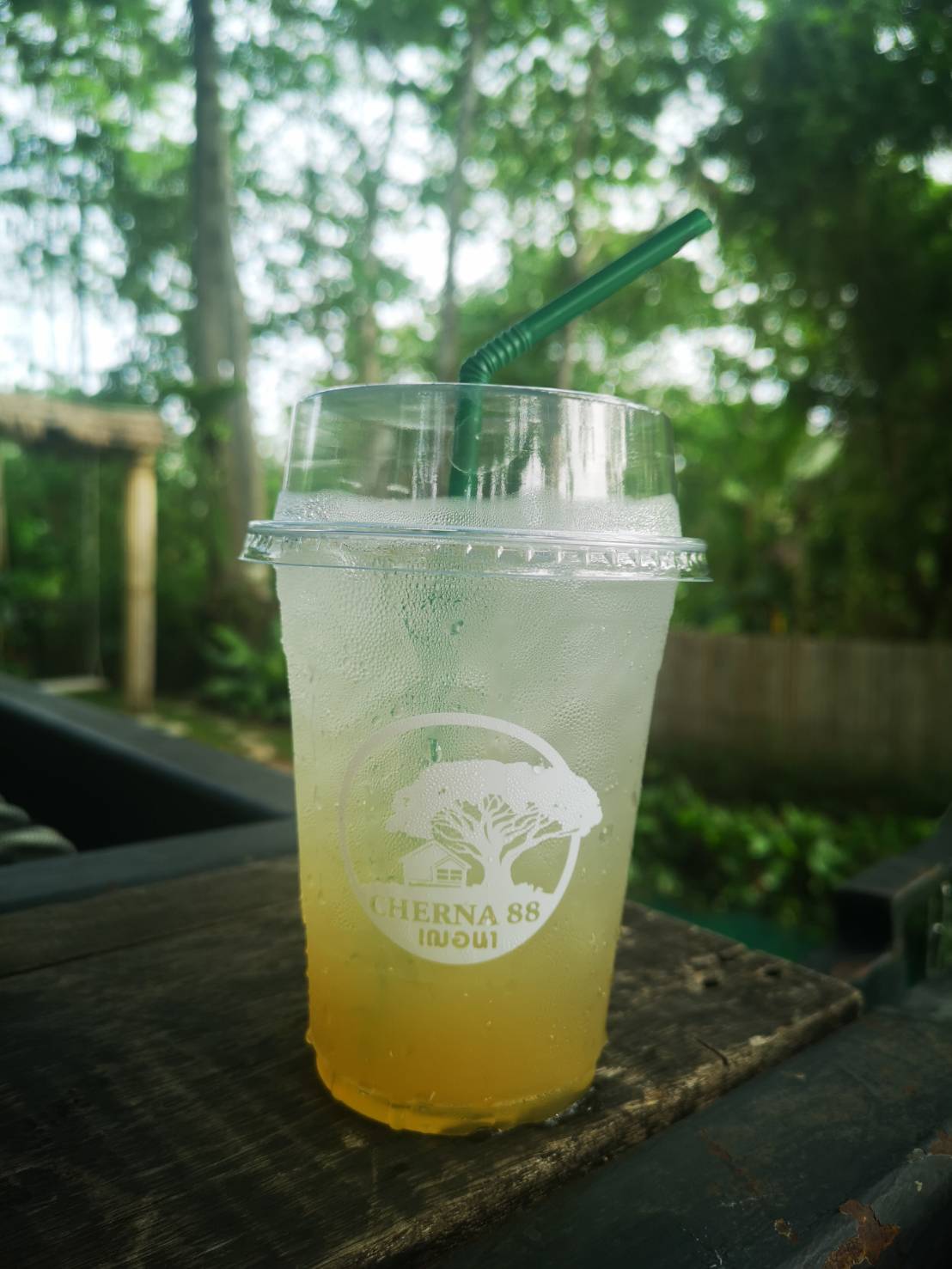 Cherna88 (เฌอนา) - Wichit - Thailand Travel Blog by Bamboo (2022)