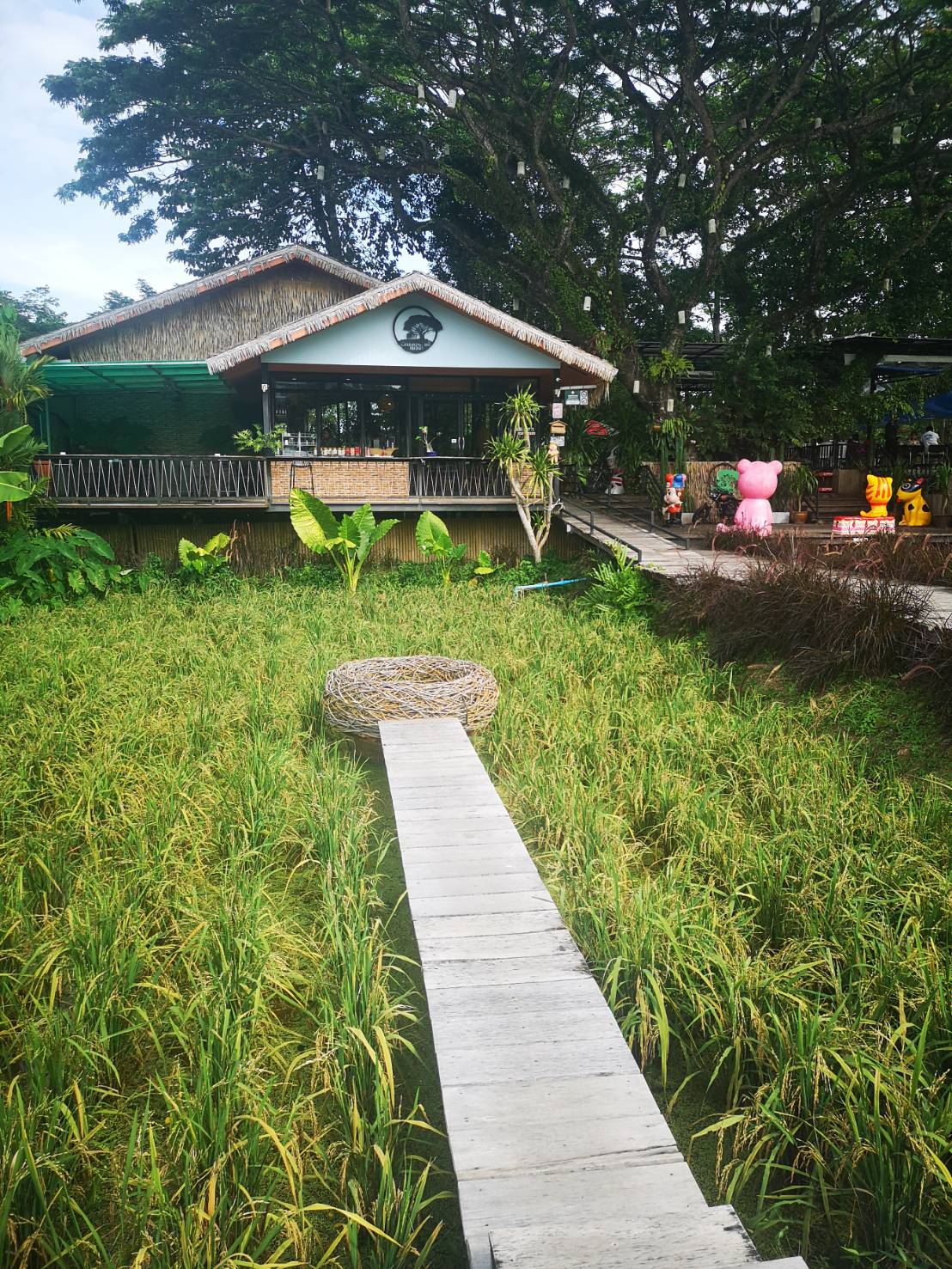 Cherna88 (เฌอนา) - Wichit - Thailand Travel Blog by Bamboo (2022)