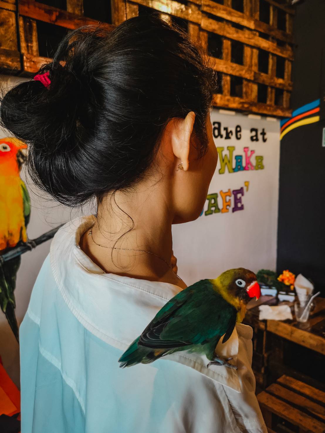 Waka waka café - Chalong - Thailand Travel Blog by Bamboo (2022)