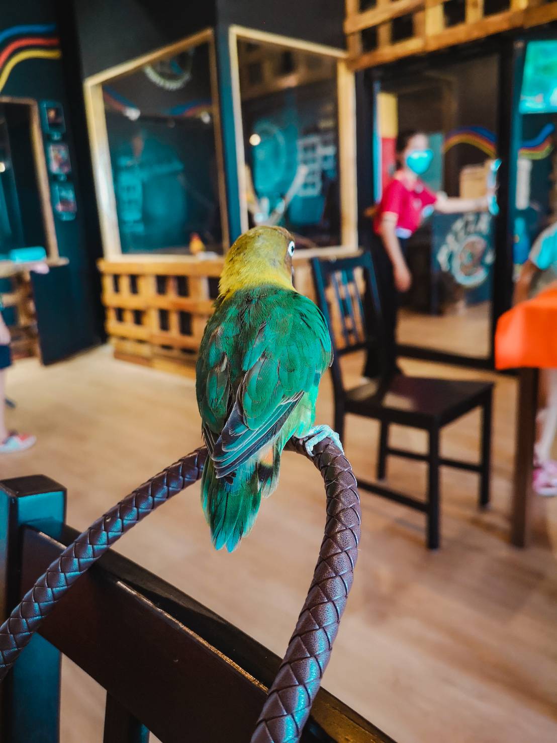 Waka waka café - Chalong - Thailand Travel Blog by Bamboo (2022)