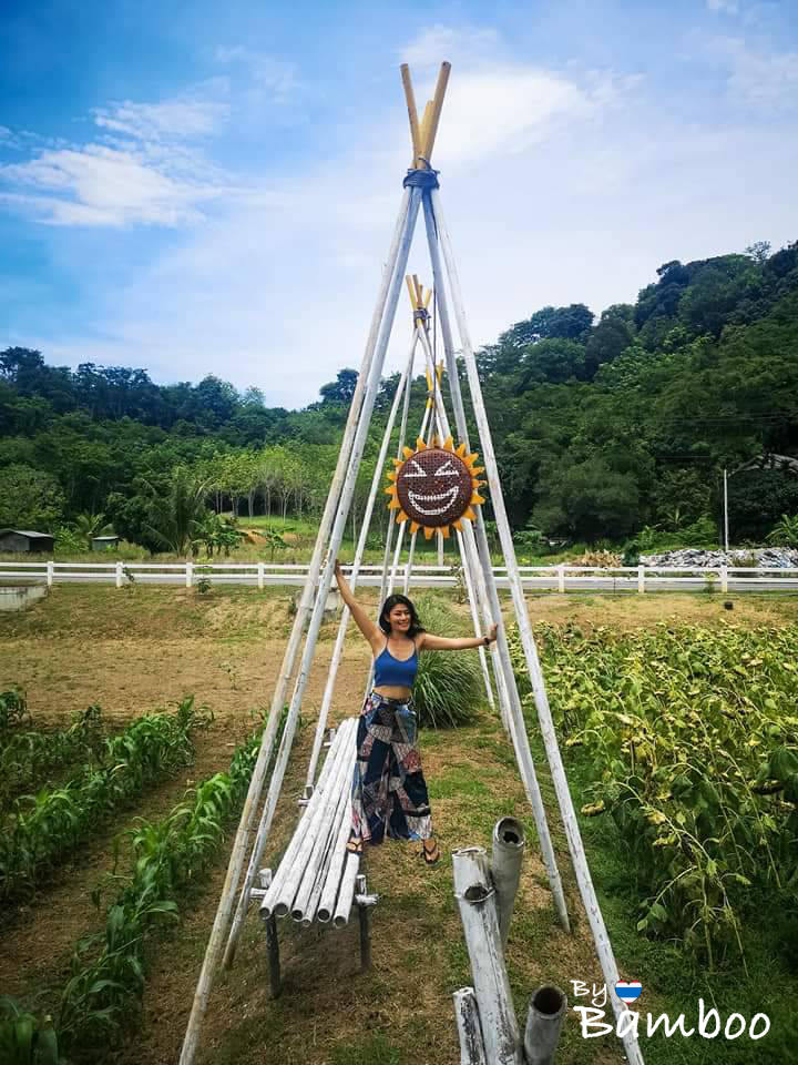 Baan Suan Aoyon ร้านบ้านสวนอ่าวยน - Thailand Travel Blog by Bamboo - Relaxing and nice (2022)