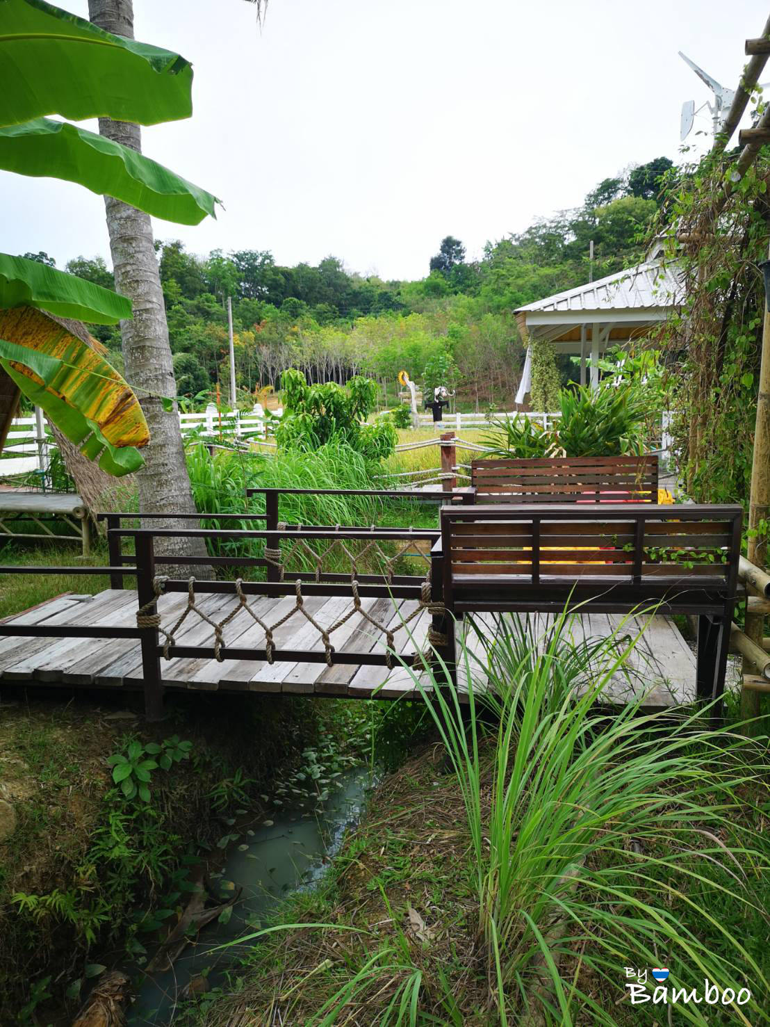 Baan Suan Aoyon ร้านบ้านสวนอ่าวยน - Thailand Travel Blog by Bamboo - Relaxing and nice (2022)