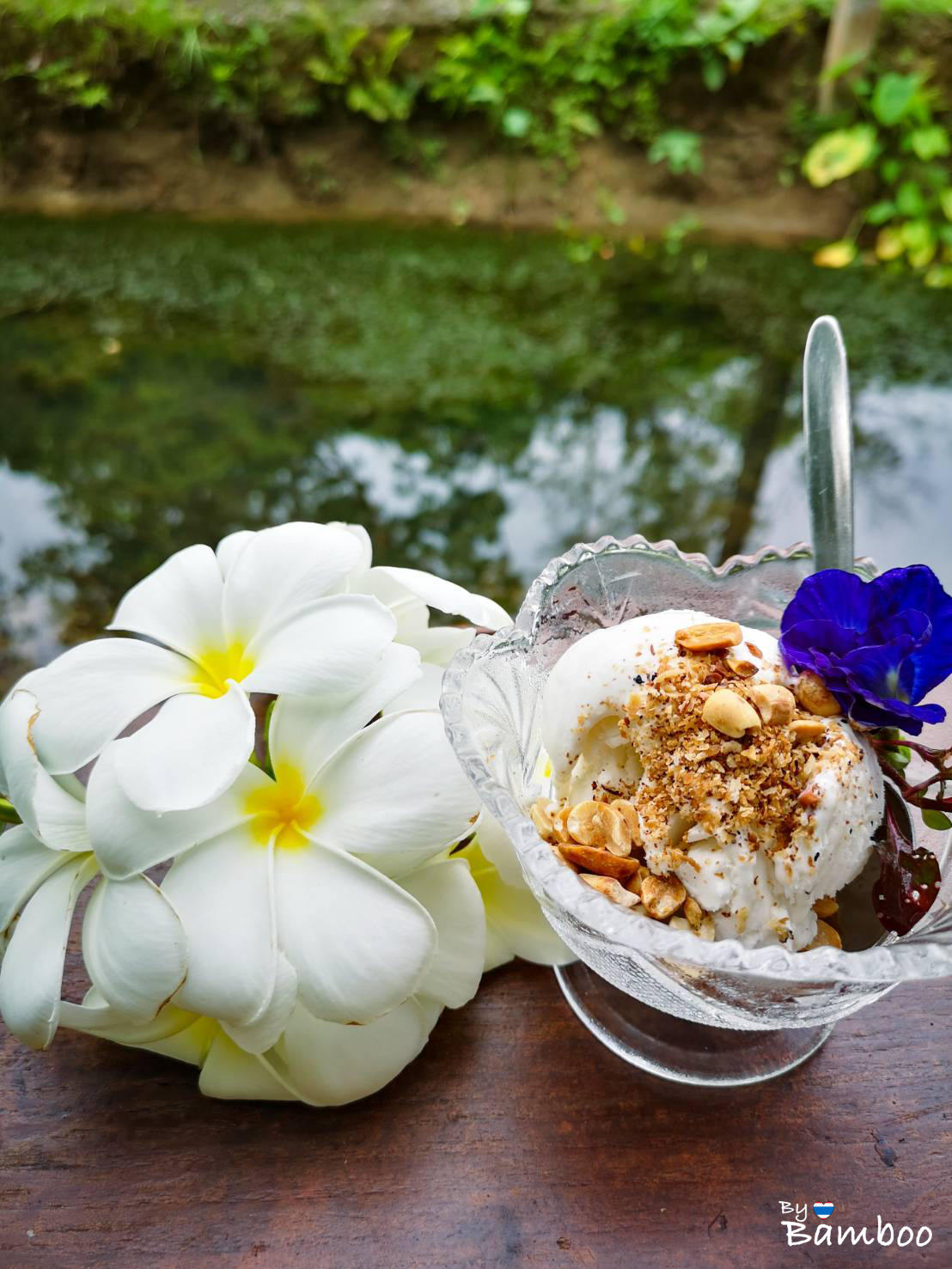 Baan Suan Aoyon ร้านบ้านสวนอ่าวยน - Thailand Travel Blog by Bamboo - Relaxing and nice (2022)