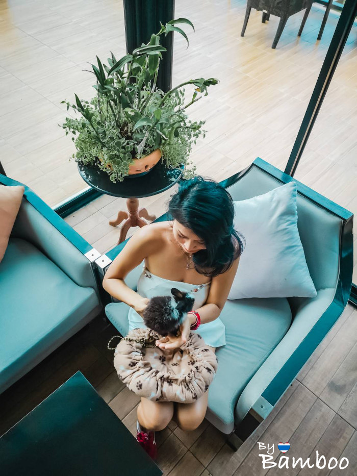 Rabbit Hole AT Phuket ( ร้านโพรงกระต่าย ) - pakhlok - Phuket Travel Blog by Bamboo (2022)