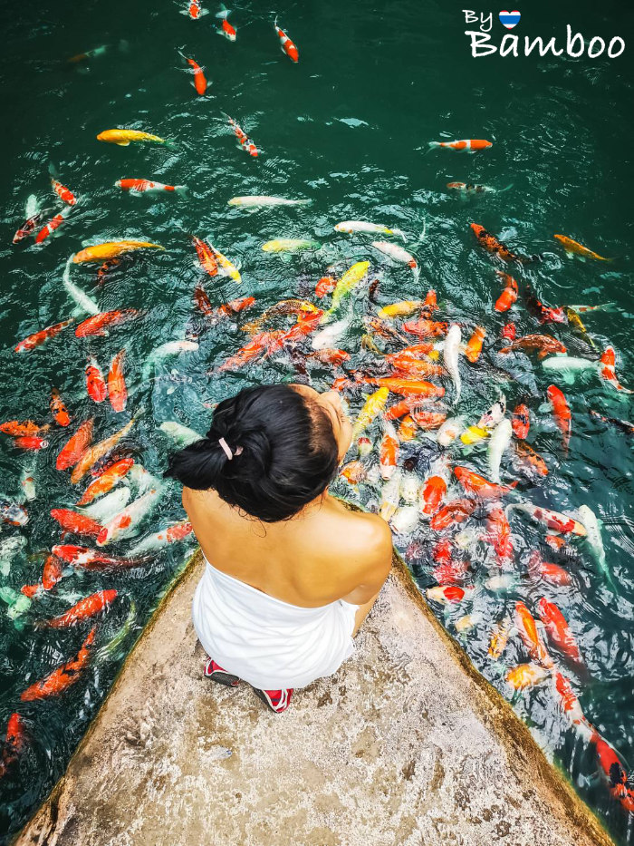 Rabbit Hole AT Phuket ( ร้านโพรงกระต่าย ) - pakhlok - Phuket Travel ...