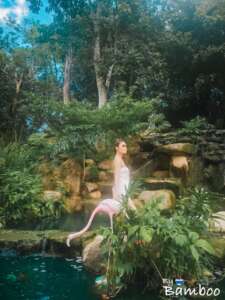 Rabbit Hole AT Phuket ( ร้านโพรงกระต่าย ) - pakhlok - Phuket Travel ...