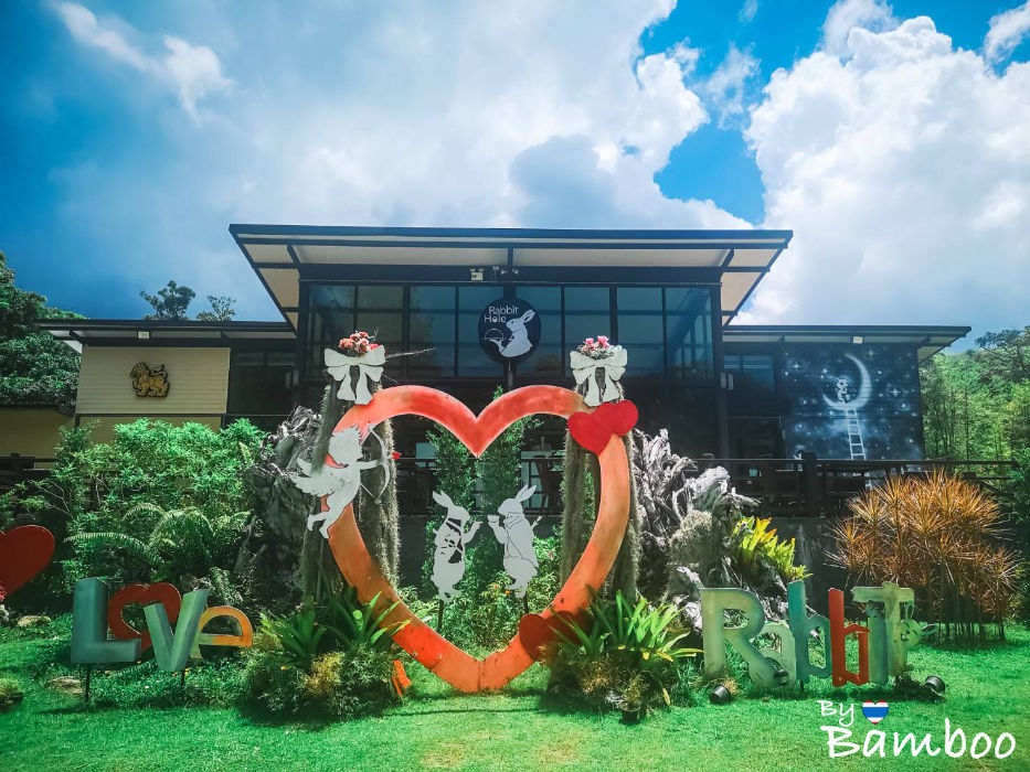 Rabbit Hole AT Phuket ( ร้านโพรงกระต่าย ) - pakhlok - Phuket Travel Blog by Bamboo (2022)