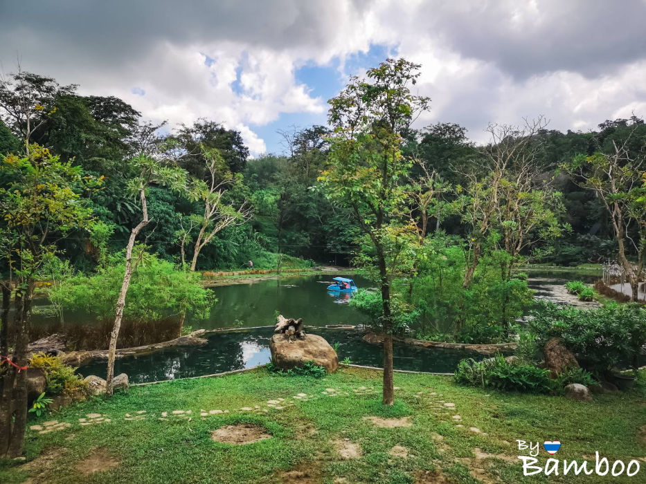 Rabbit Hole AT Phuket ( ร้านโพรงกระต่าย ) - pakhlok - Phuket Travel ...