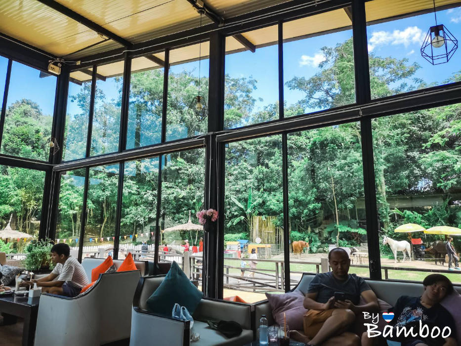 Rabbit Hole AT Phuket ( ร้านโพรงกระต่าย ) - pakhlok - Phuket Travel ...