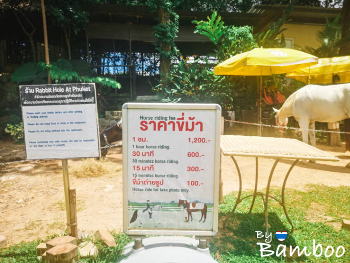 Rabbit Hole AT Phuket ( ร้านโพรงกระต่าย ) - pakhlok - Phuket Travel ...