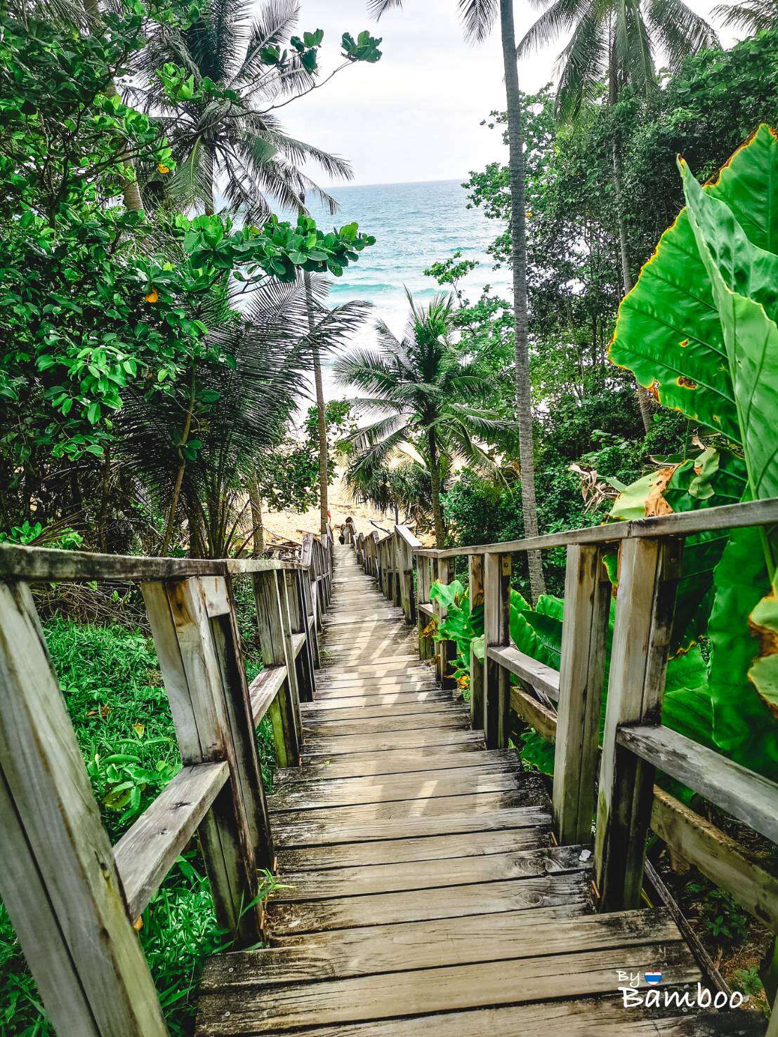 Naithon beach wooden bridge - Phuket Travel Blog by Bamboo (2022)