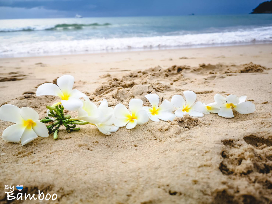 Layan Beach - Thailand Travel Blog by Bamboo (2022) - nice view