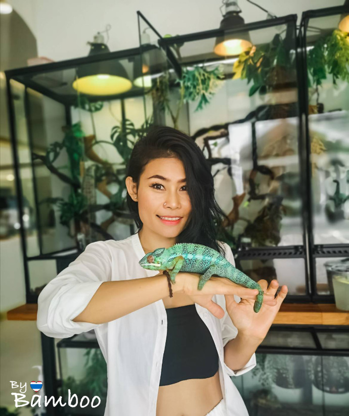 Tang Toh Restaurant and Cafe - Chalong - Thailand Travel Blog by Bamboo ...