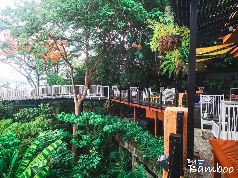 Baba Soul Cafe - Wichit - Thailand Travel Blog by Bamboo (2022)