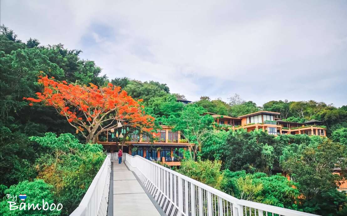 Baba Soul Cafe - Wichit - Phuket Travel Blog by Bamboo (2022)