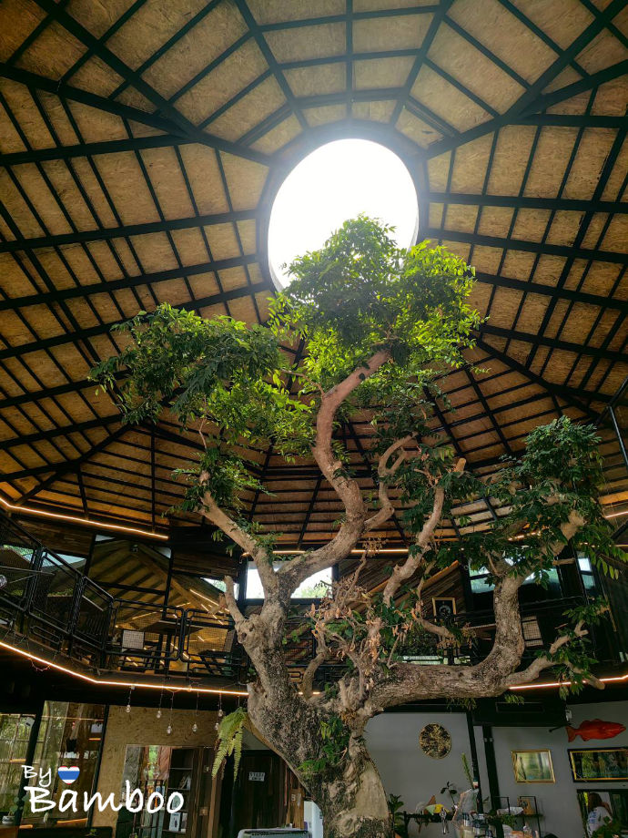 Made In Blue Cafe & Bistro Phuket - Thailand Travel Blog by Bamboo (2022)